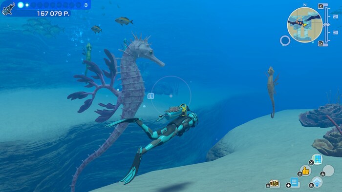 Endless Ocean Luminous per la Switch alla prova - Galaxus
